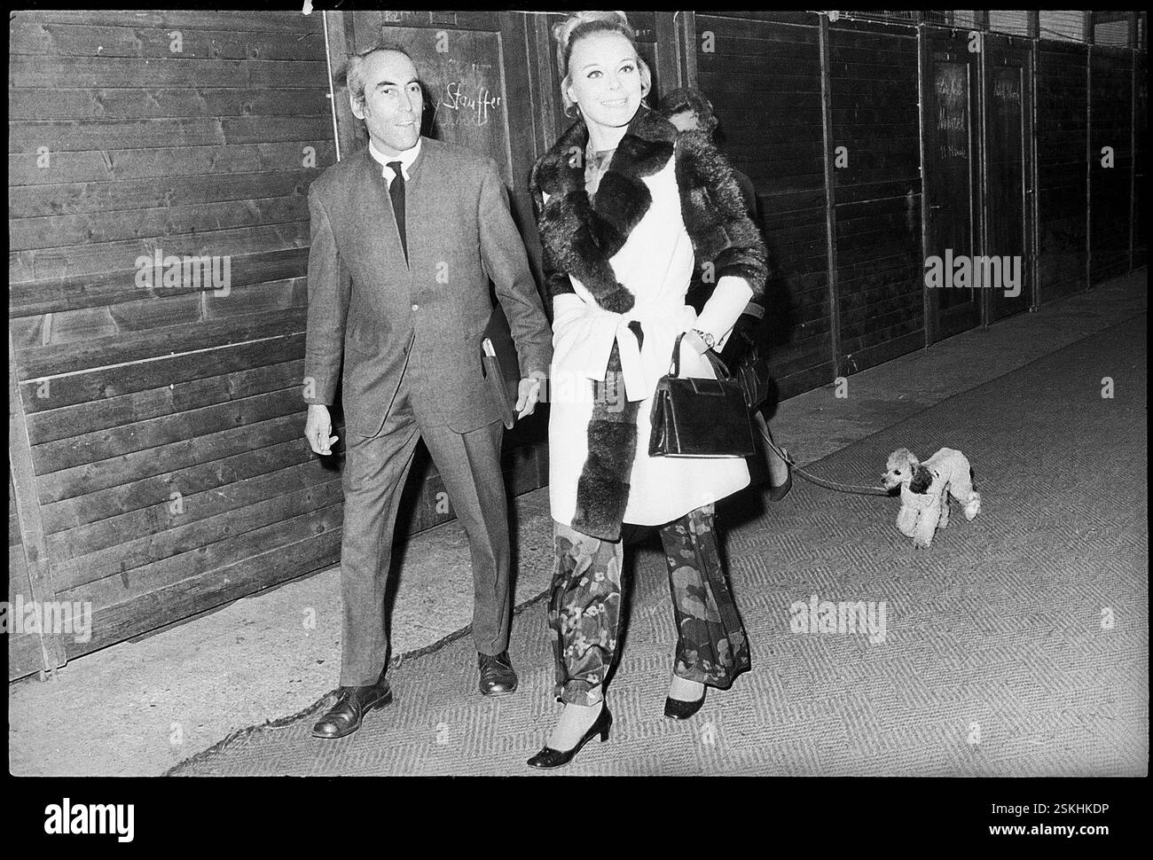 Elke Sommer, Sängerin und Schauspielerin, 1969#Elke Sommer, singer and ...