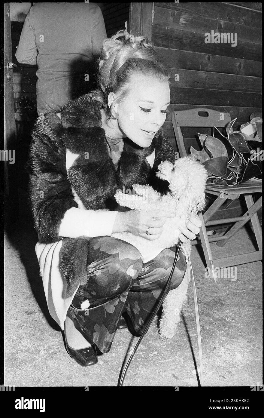 Elke Sommer, Sängerin und Schauspielerin, 1969#Elke Sommer, singer and ...