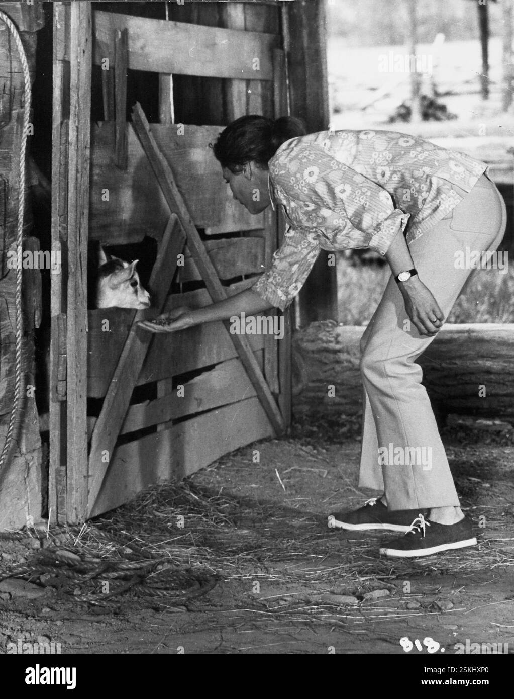 Ingrid Bergman in "A Walk in the Spring Rain" 1970#Ingrid Bergman in "A ...