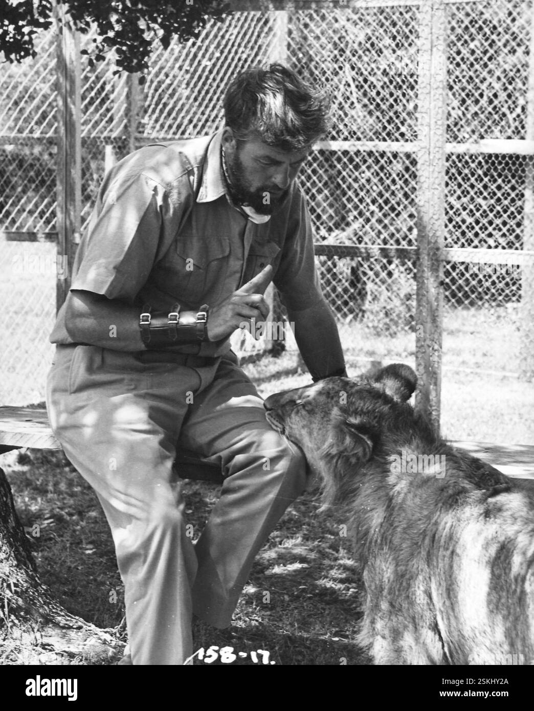 Bill Travers in "Born Free" 1966#Bill Travers in "Born Free" 1966 Stock ...