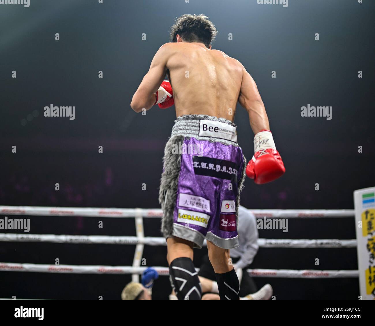 Tokyo, Japan. 24th Jan, 2025. Champion Toshiki Shimomachi (red gloves) knocks down challenger ...