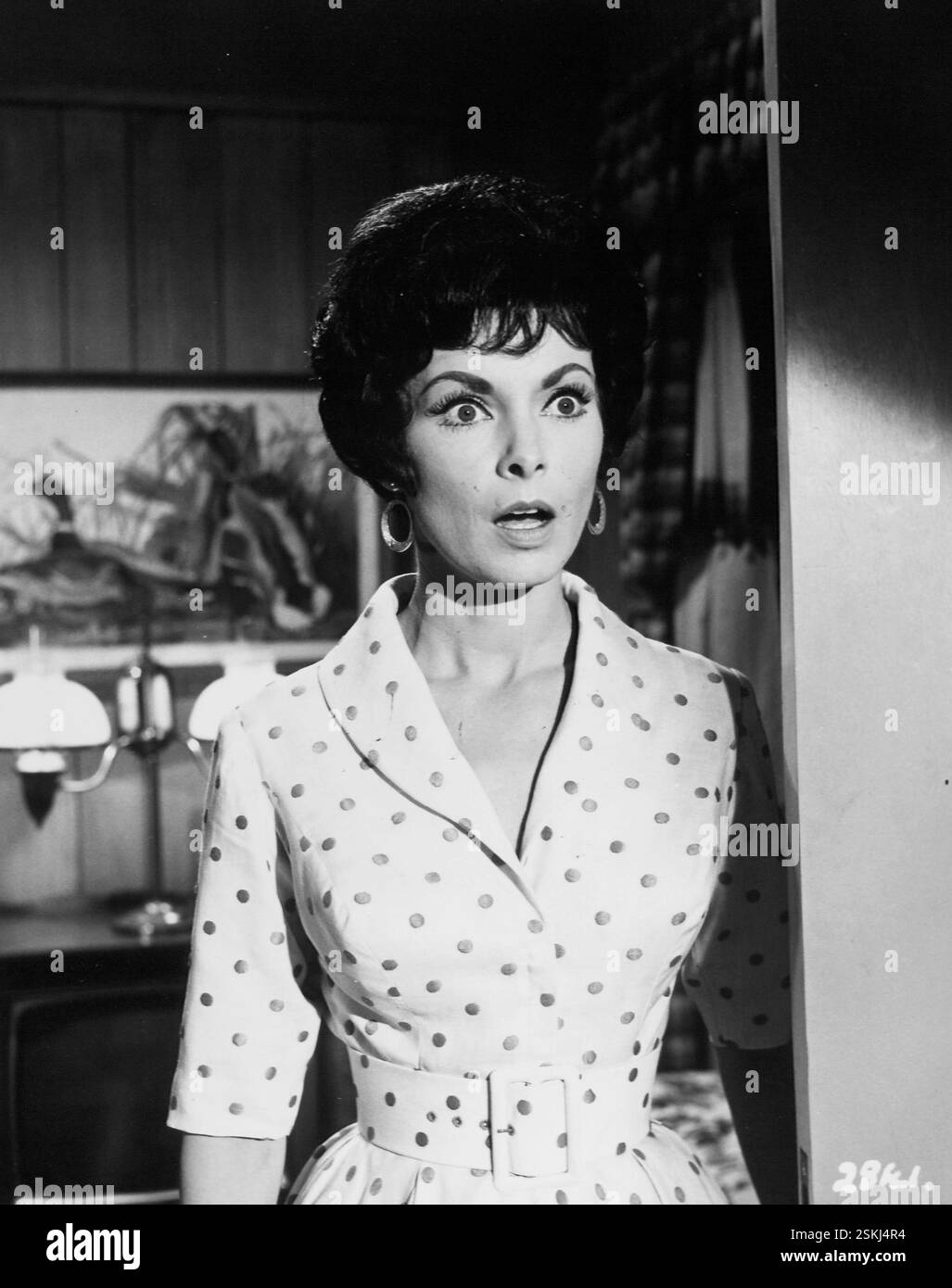 Janet Leigh in "Bye Bye Birdie" 1963#Janet Leigh in "Bye Bye Birdie" 1963- RDB BY DUKAS Stock ...