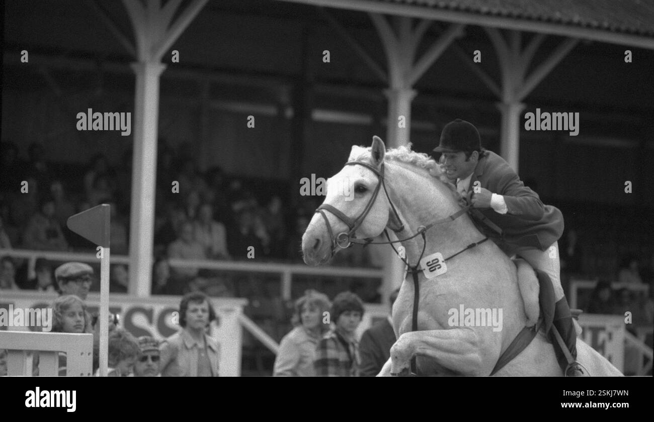 CSIO Luzern 1974: Hugo Simon auf Lavendel#CSIO Lucerne 1974: Hugo Simon ...