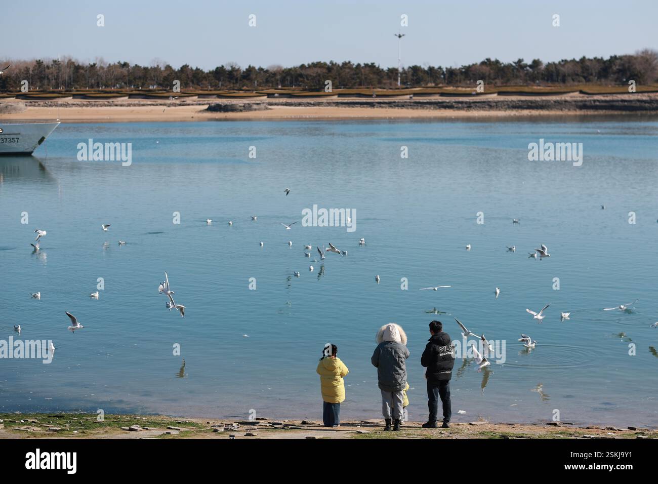 Tourists watch seagulls in Rizhao City, east China's Shandong Province ...