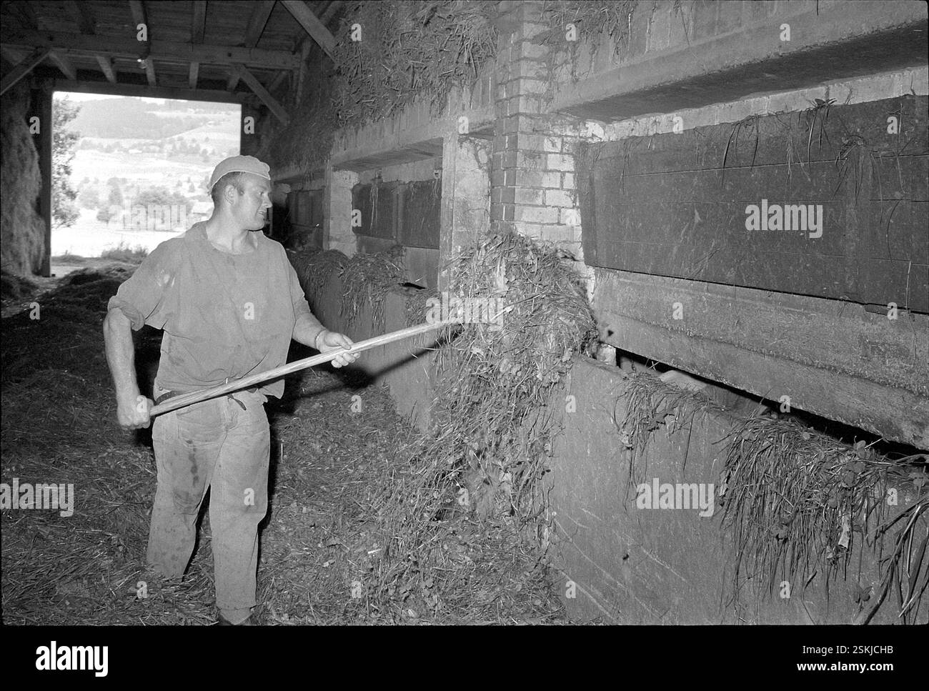 Schwinger und Bauer Ady Zurfluh, Inwil 1972#Wrestler and farmer Ady ...