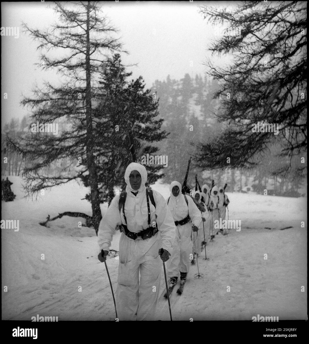 Schweizer Gebirgstruppen, 1940#Swiss Mountain Troops, 1940 Stock Photo ...