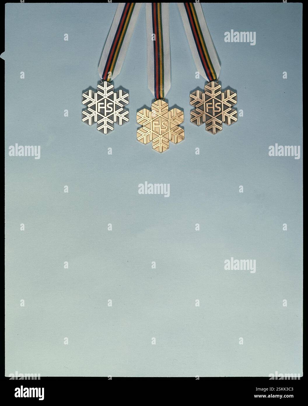 Ski Medaillen der Weltmeisterschaft 1978#Ski medals of the world ...