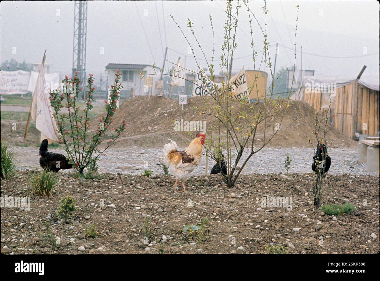 Alltagsleben im "Besetzerdorf"#everyday life in the "squatting village ...