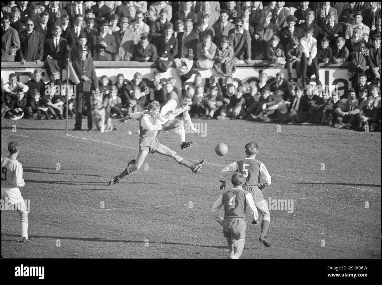 NLA 1967/68: FC Luzern - GC#NLA 1967/68: FC Lucerne - GC Stock Photo ...