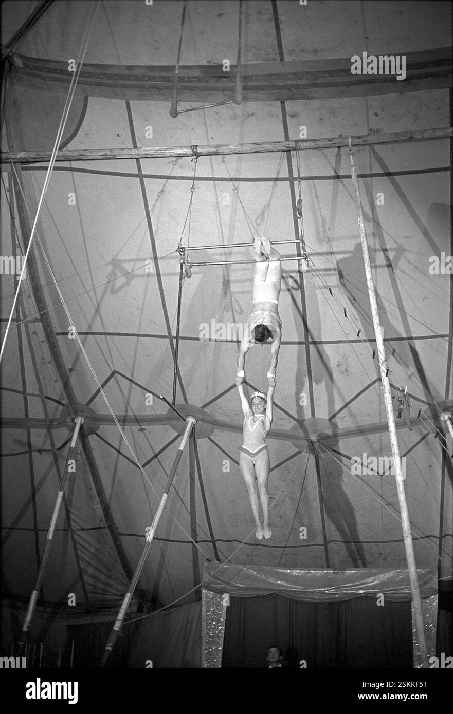 Zirkus Royal; Artisten am Trapez 1966#Circus Royal; artistes performing ...