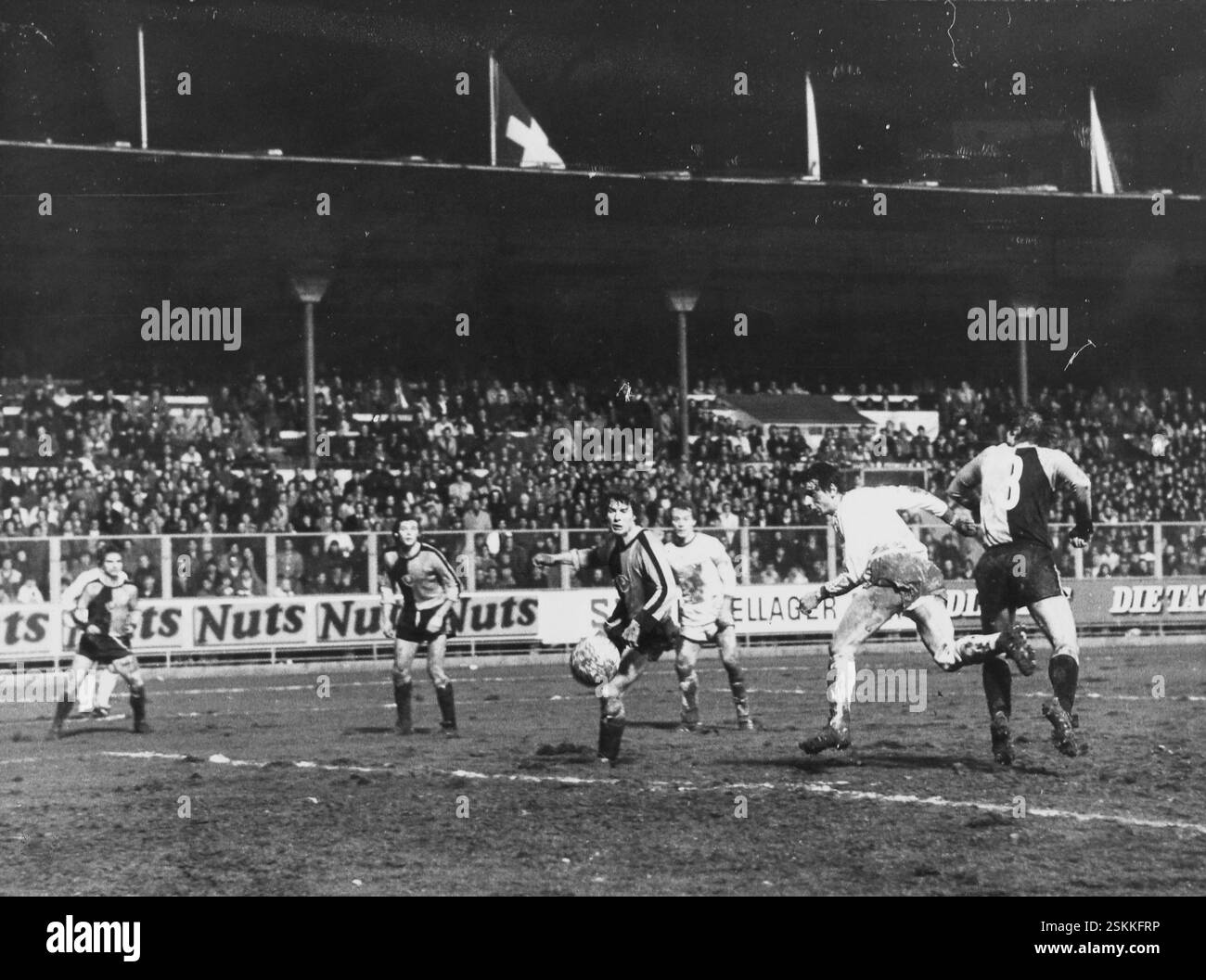 Tor von dresden Black and White Stock Photos & Images - Alamy