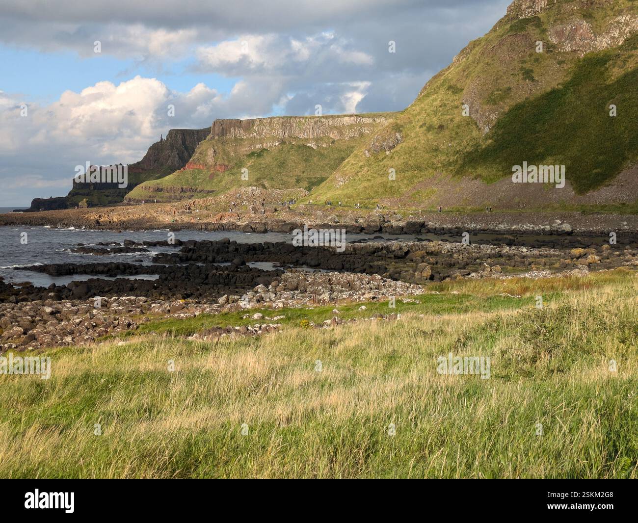 rock formations at Giants Causeway Northern Ireland Stock Photo - Alamy