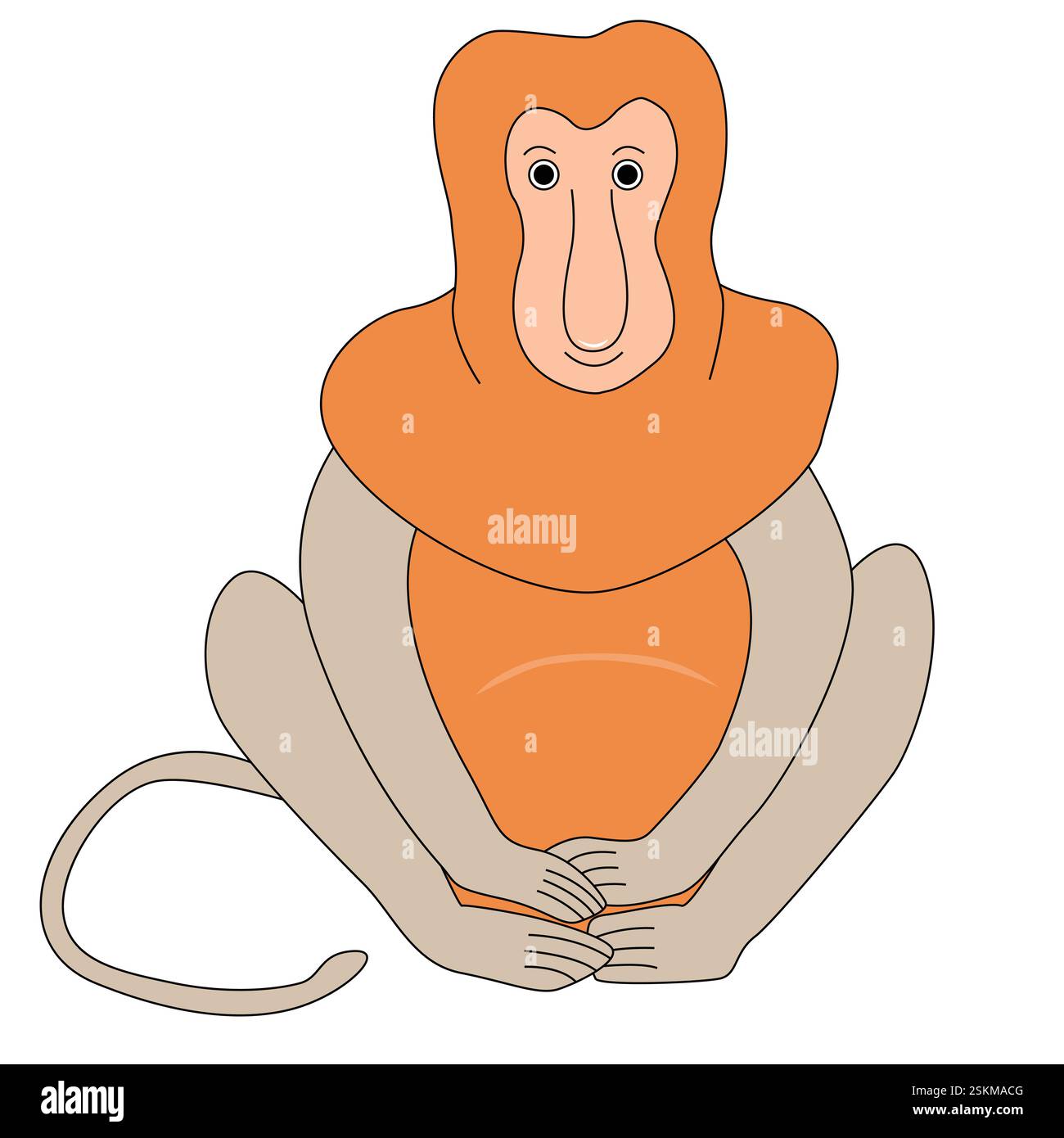 Proboscis proboscis monkey Stock Vector Images - Alamy