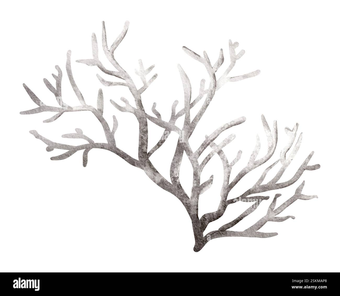 Watercolor illustration coral reef on isolated background. Hand drawn ...