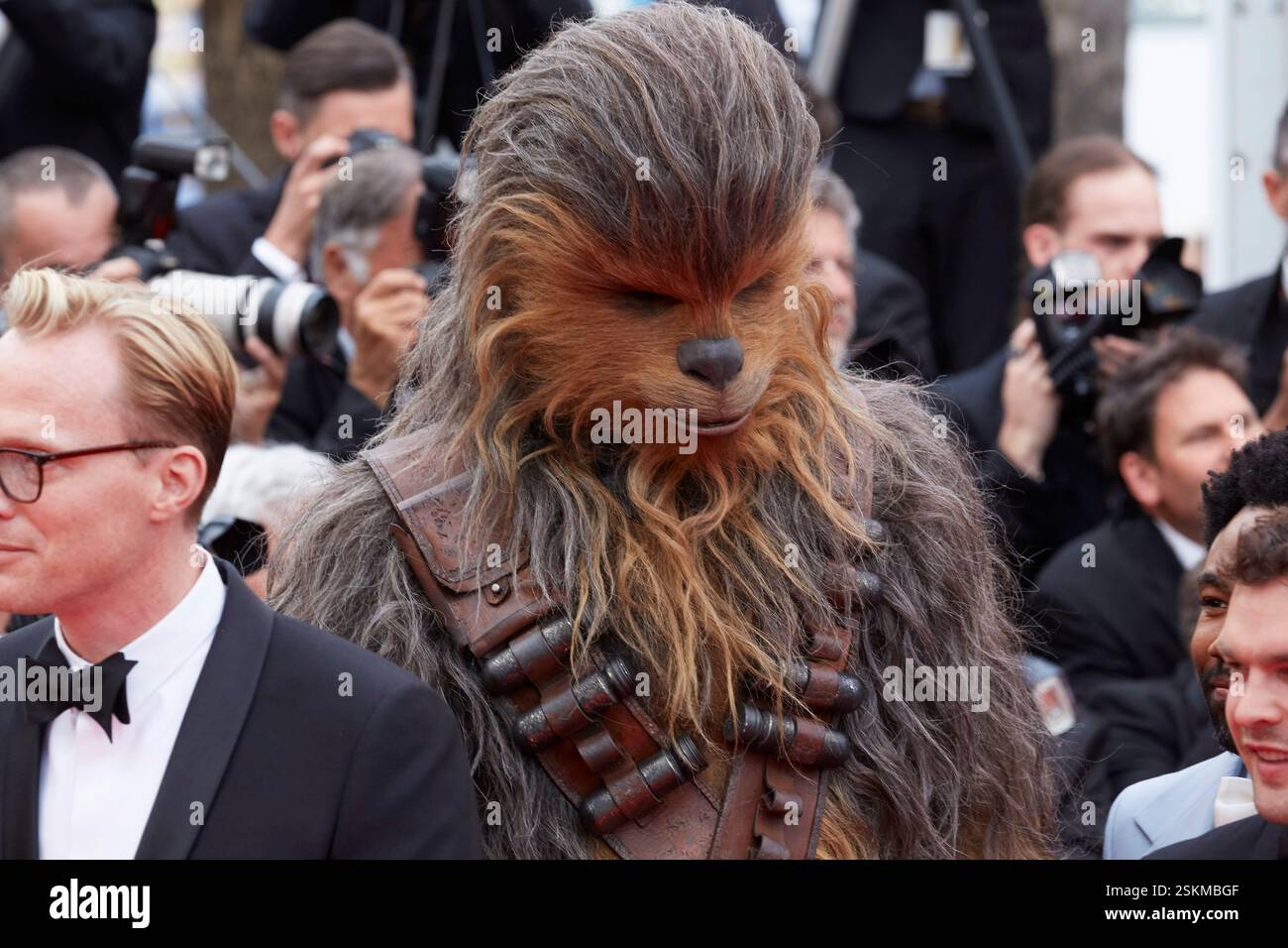 Chewbacca attends the 'Solo A Star Wars Story' red carpet on Tuesday ...