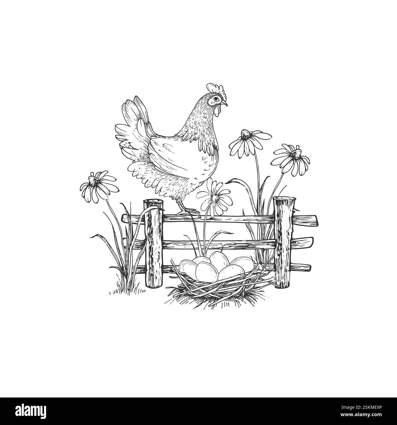 Chicken on a fence in a front garden with chamomile flowers and nest ...