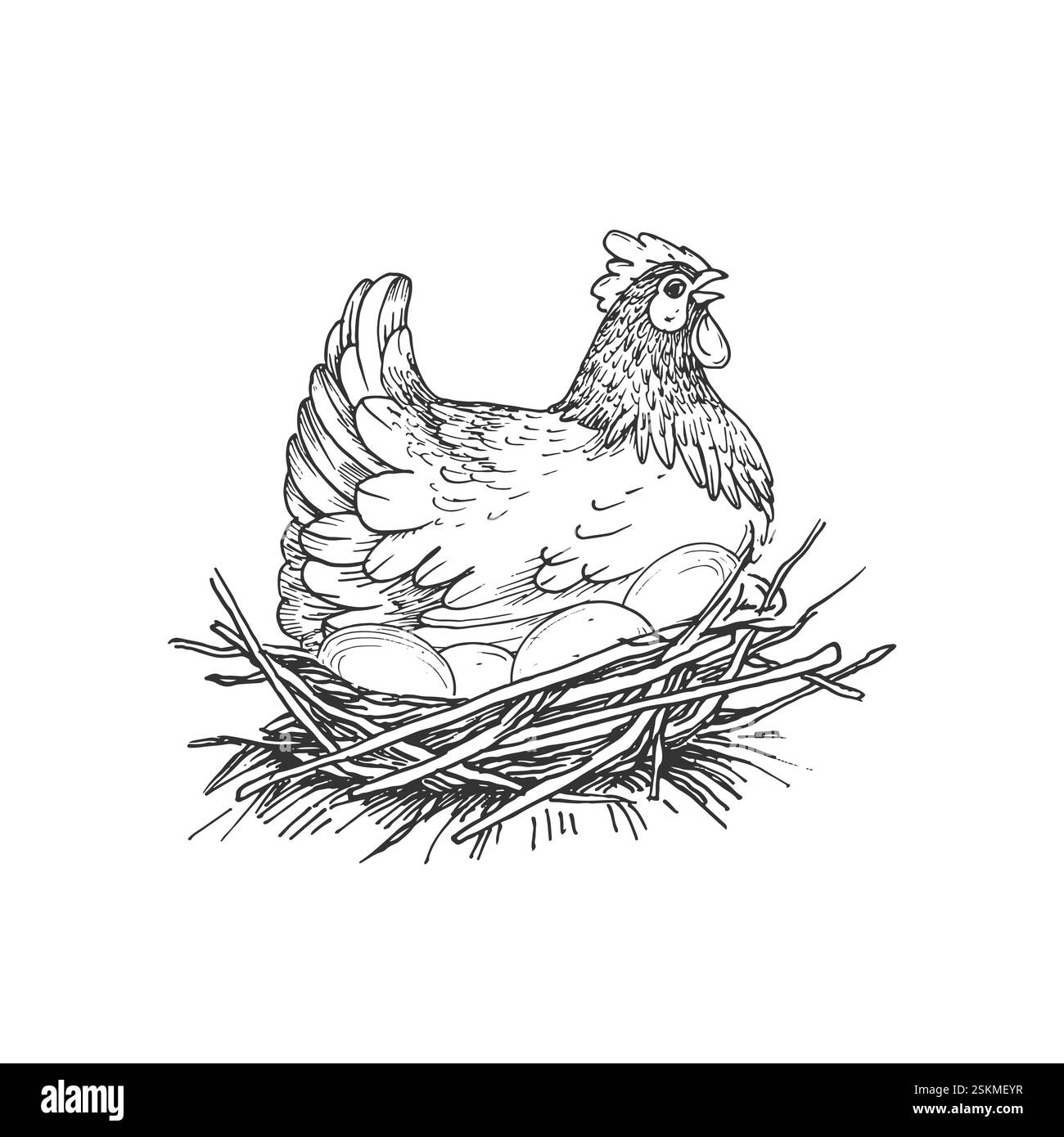 Hen, eggs, nest and vector illustration hand drawn with ink and ...