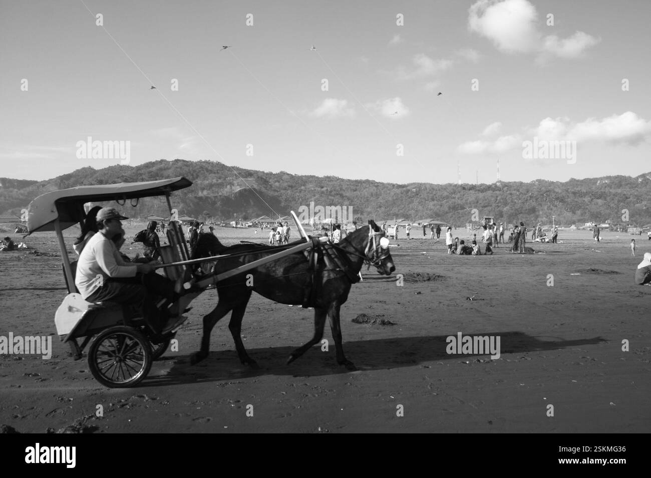 A horse-drawn cart moves along a lively beach with flying kites in ...