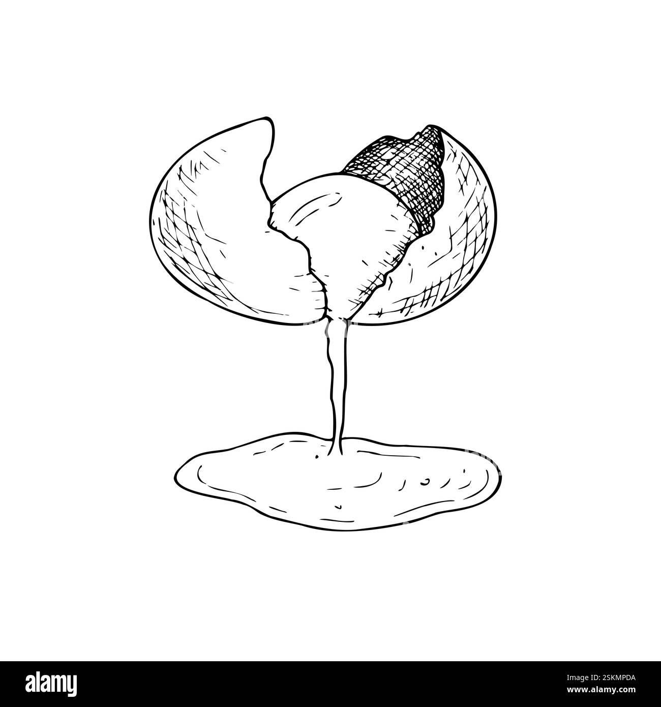 Vector broken raw egg with yolk. Graphic ink Eggshell illustration ...