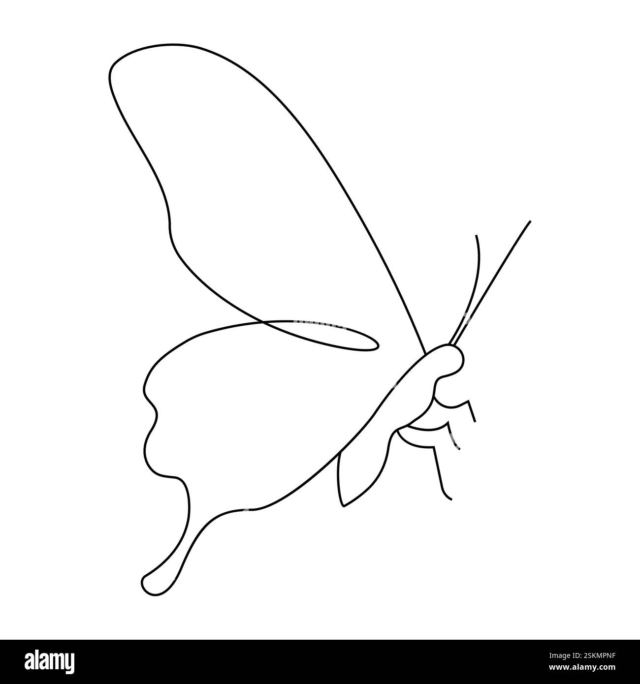 Butterfly continuous one line art drawing with black and white ...
