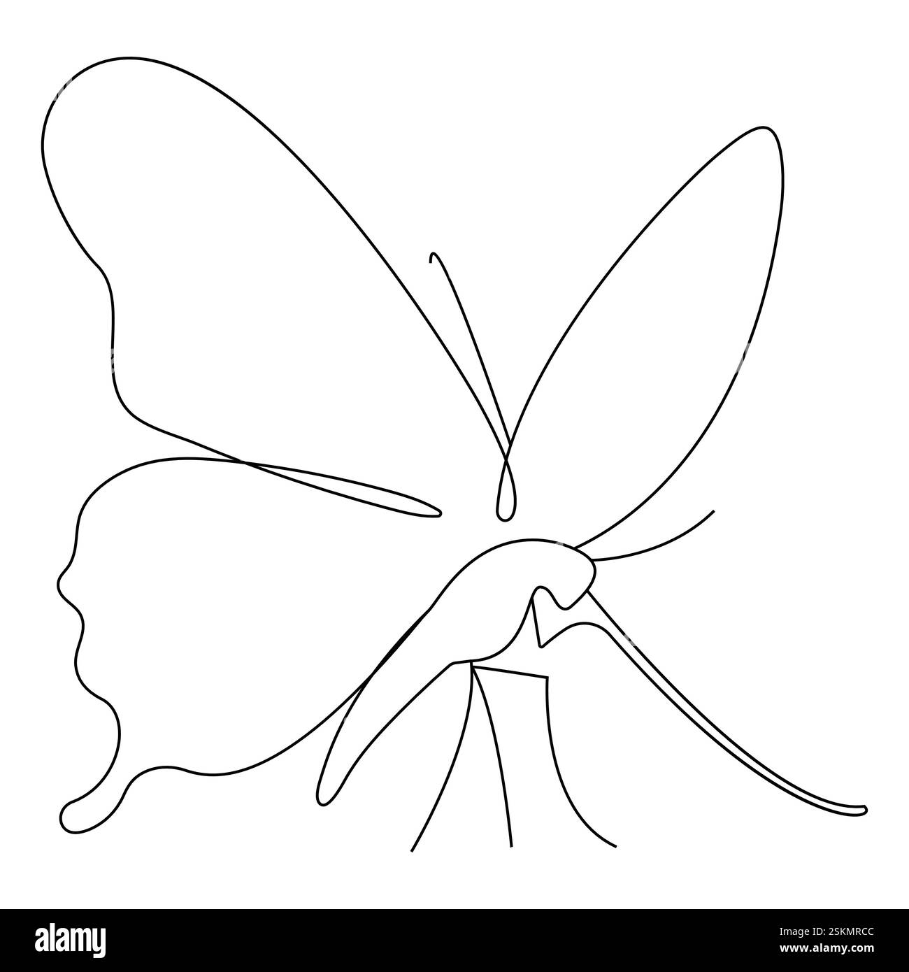 Butterfly continuous one line art drawing with black and white ...