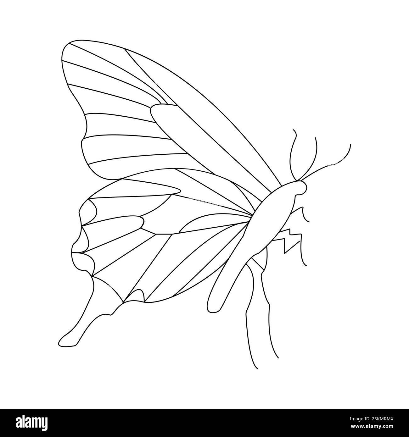 Butterfly continuous one line art drawing with black and white ...