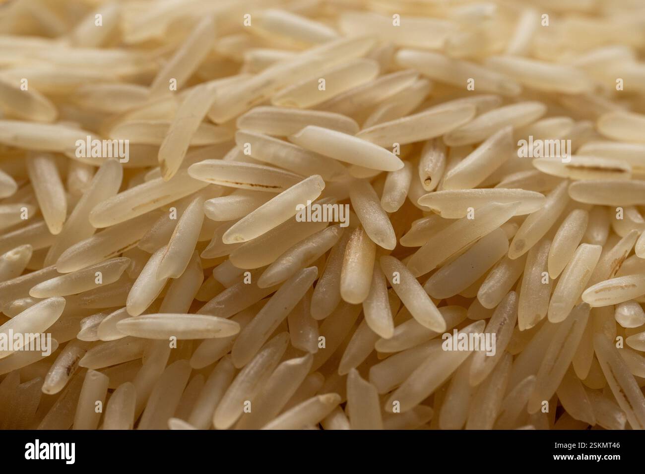 Macro photography of Basmati rice grains. Close up photography of ...