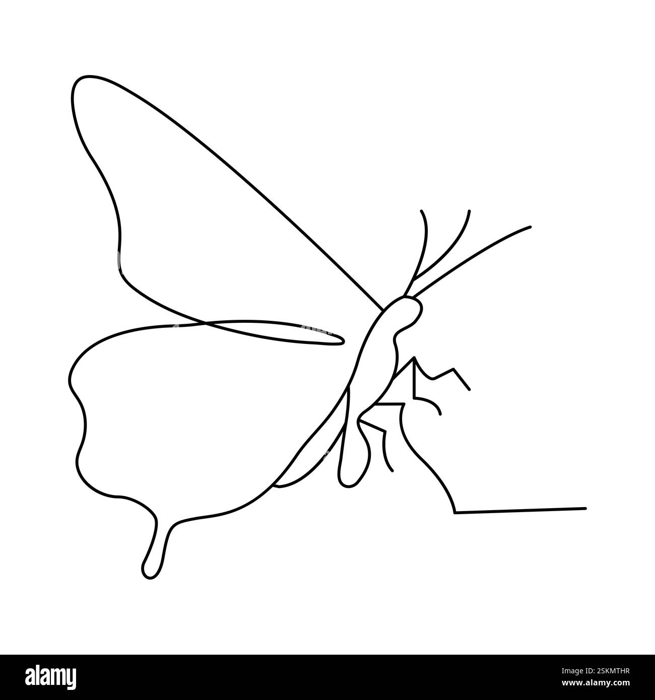 Butterfly continuous one line art drawing with black and white ...