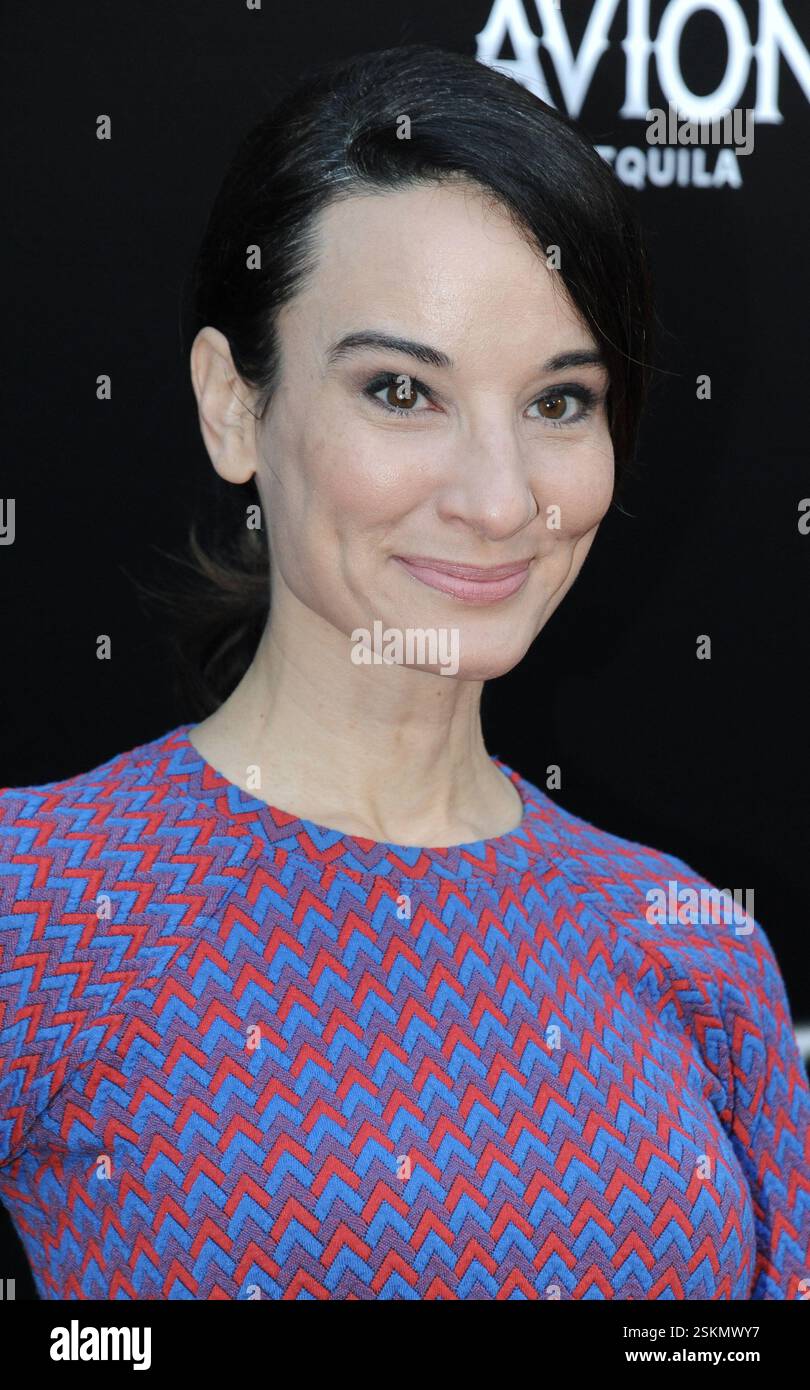 Alison Becker arriving at the premiere of 'In Darkness' at the ArcLight ...