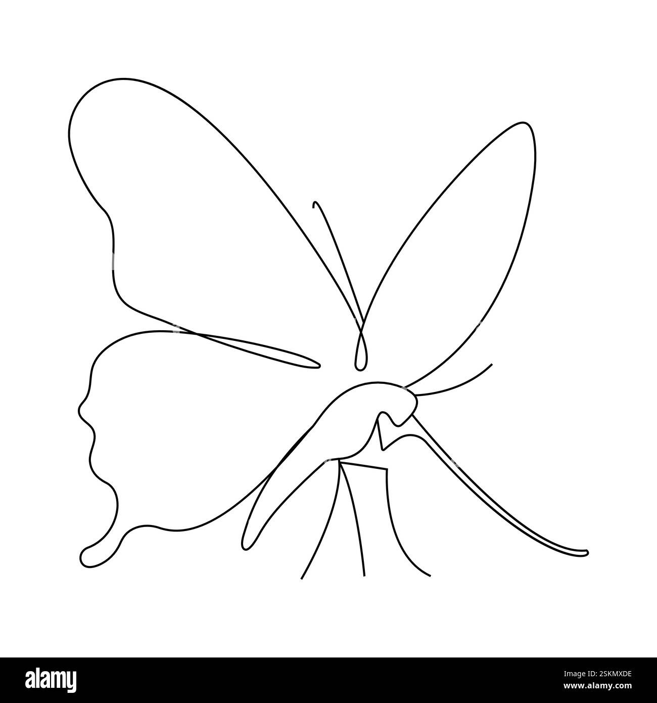 Butterfly continuous one line art drawing with black and white ...