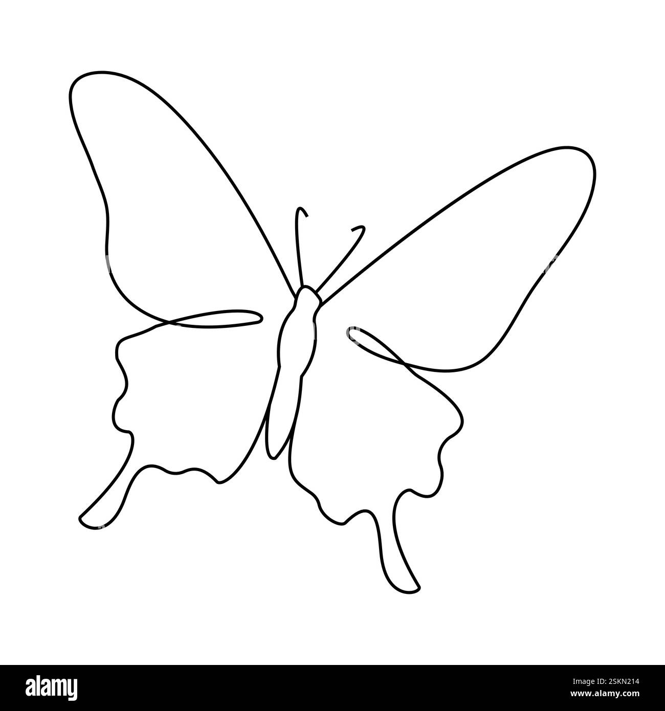 Butterfly continuous one line art drawing with black and white ...