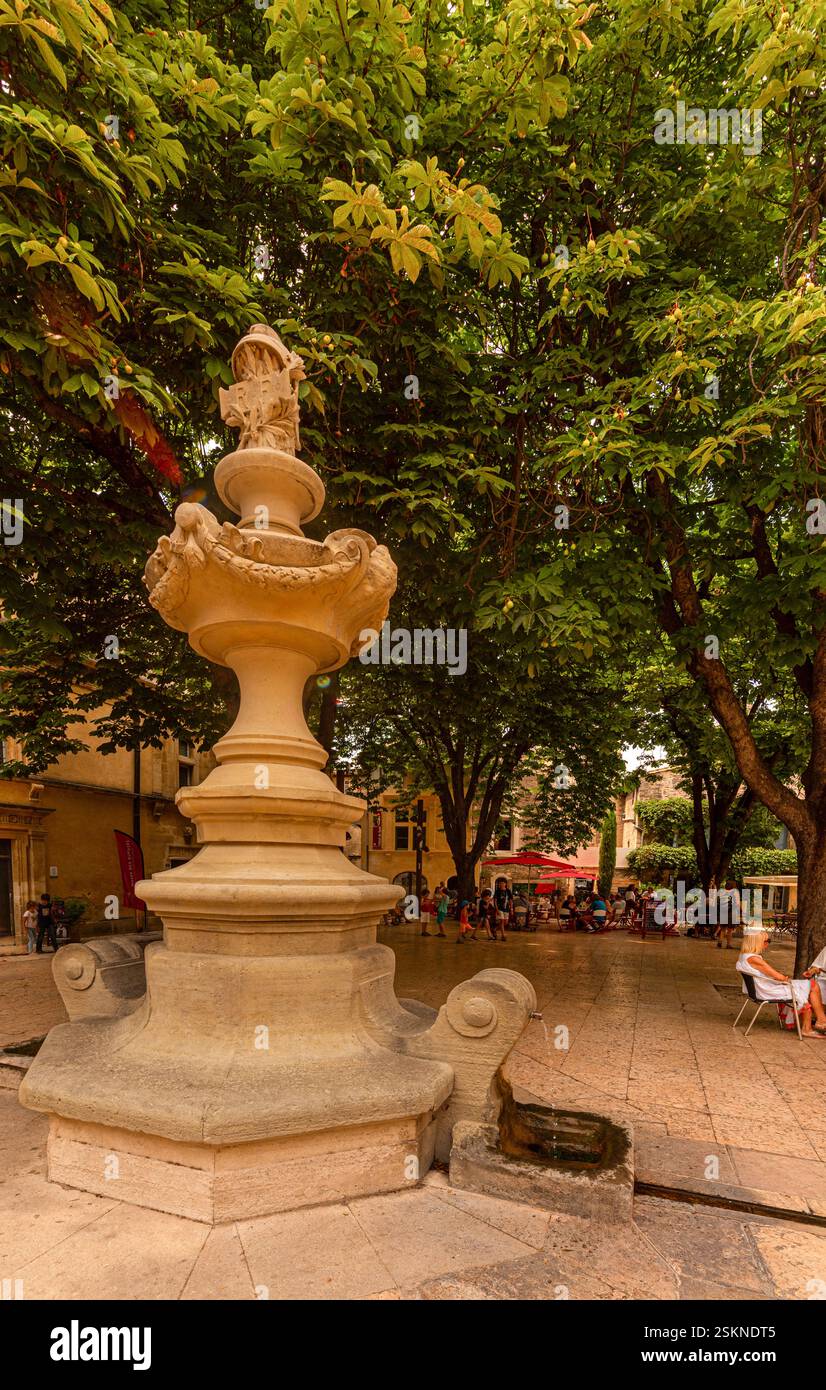 St Remy de Provence, Buches du Rhone, France. Place Favier in St Remy ...