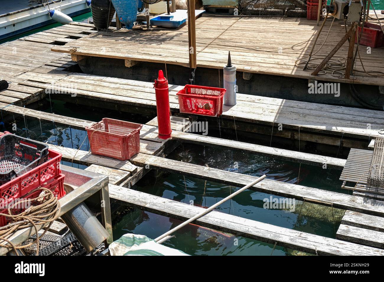 Oyster farming equipment hi-res stock photography and images - Alamy