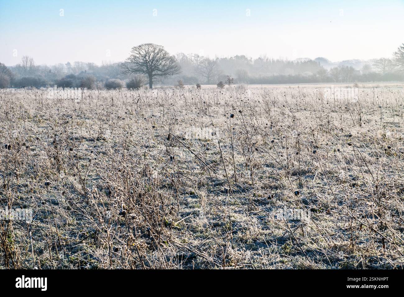 Cold frosty morning in the countryside Stock Photo - Alamy