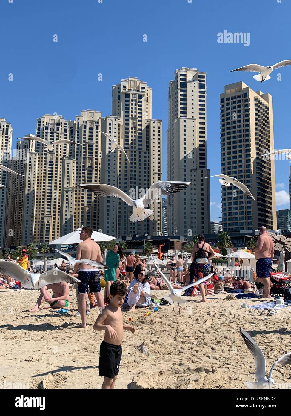 Swimming pool at beach club in Dubai Marina Stock Photo - Alamy