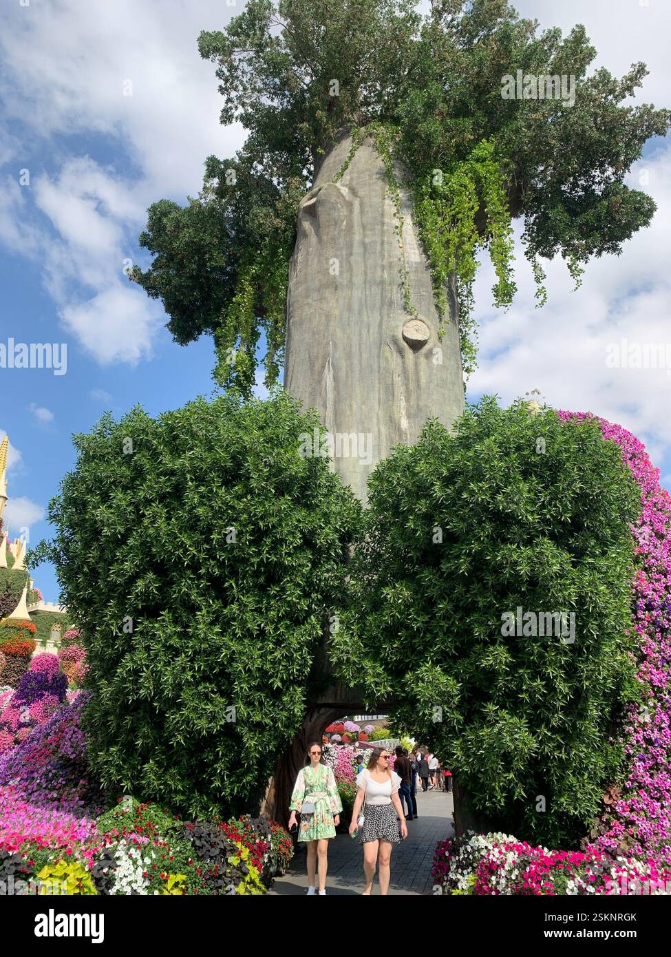 large tree trunk at Miracle Garden Dubai Stock Photo - Alamy