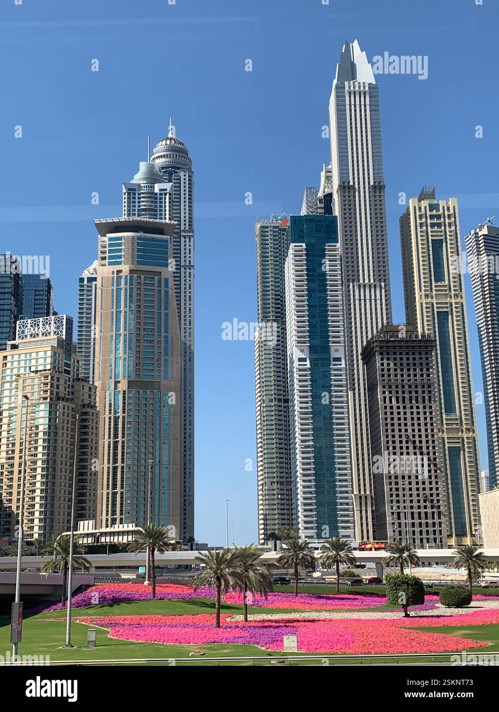 Dubai Marina buildings with pink flowers Stock Photo - Alamy