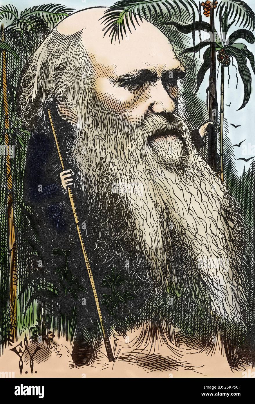 Charles Darwin (1809-1882) caricature by Frederick Waddy dated 1873 Stock Photo - Alamy