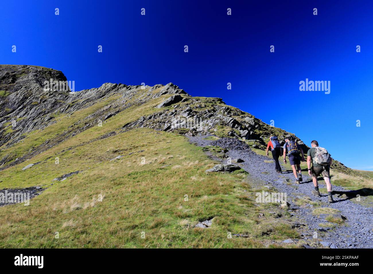 Walkers on Sharp Edge, Blencathra fell, Lake District National Park ...