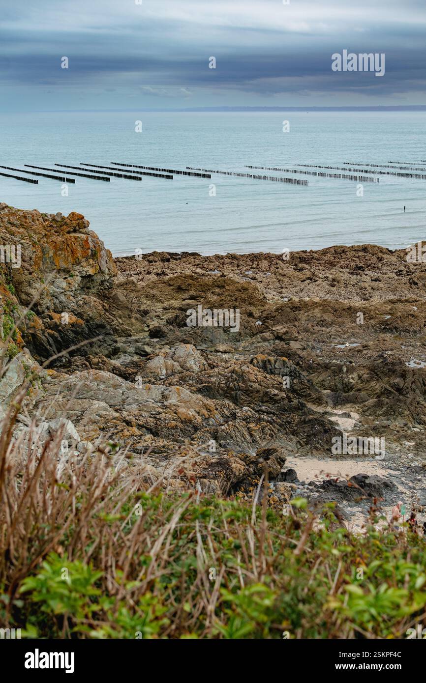 Mussel park in Brittany, Armor Coast in France Stock Photo - Alamy