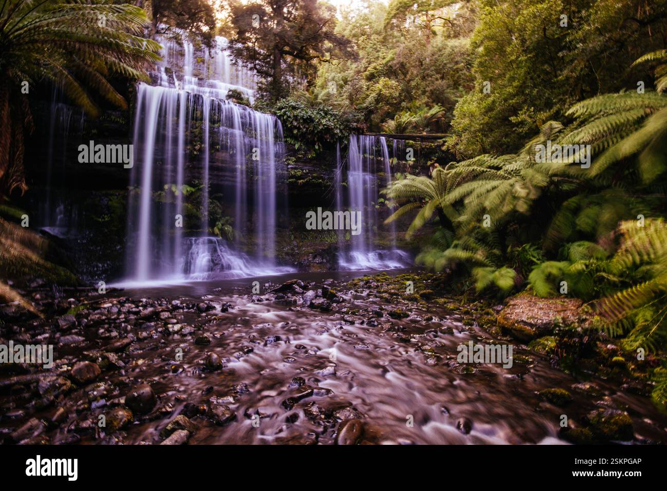 Russell Falls in Mt Field National Park Tasmania Australia Stock Photo ...