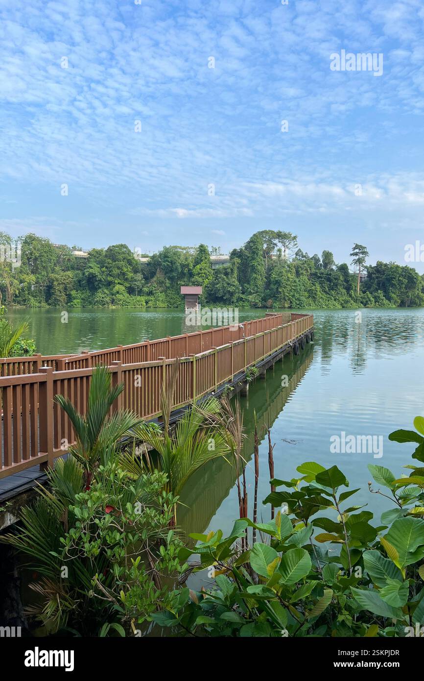 New Mandai Boardwalk at the Mandai Wildlife Reserve Stock Photo - Alamy