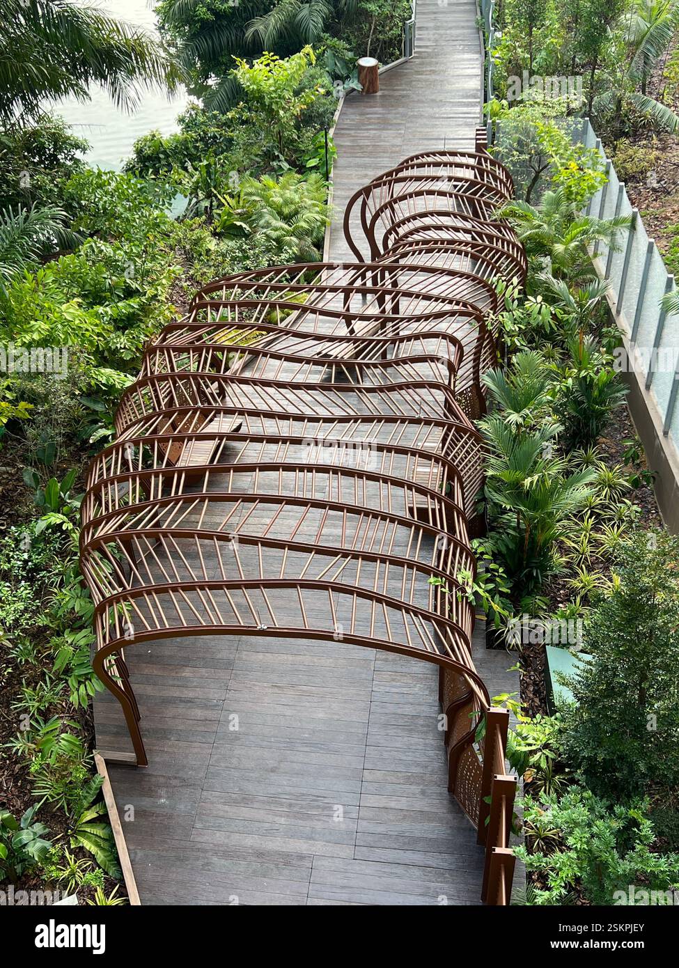 New Mandai Boardwalk at the Mandai Wildlife Reserve Stock Photo - Alamy
