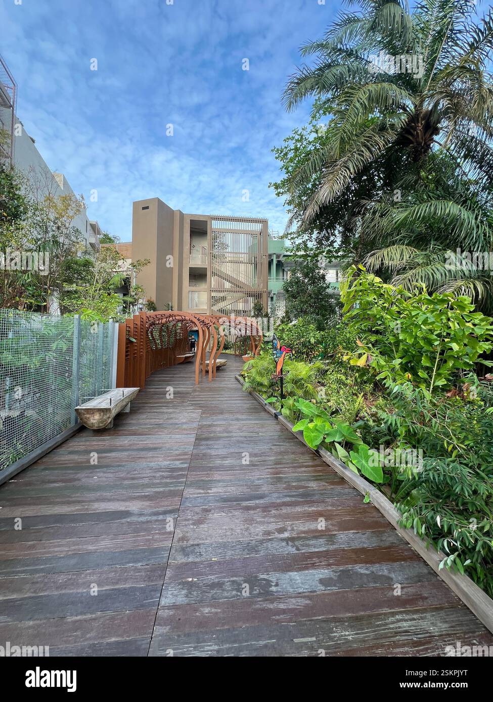 New Mandai Boardwalk at the Mandai Wildlife Reserve Stock Photo - Alamy