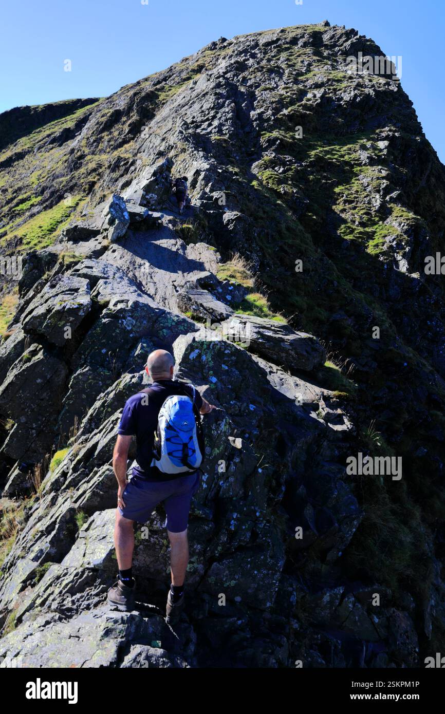 Walkers on Sharp Edge, Blencathra fell, Lake District National Park ...