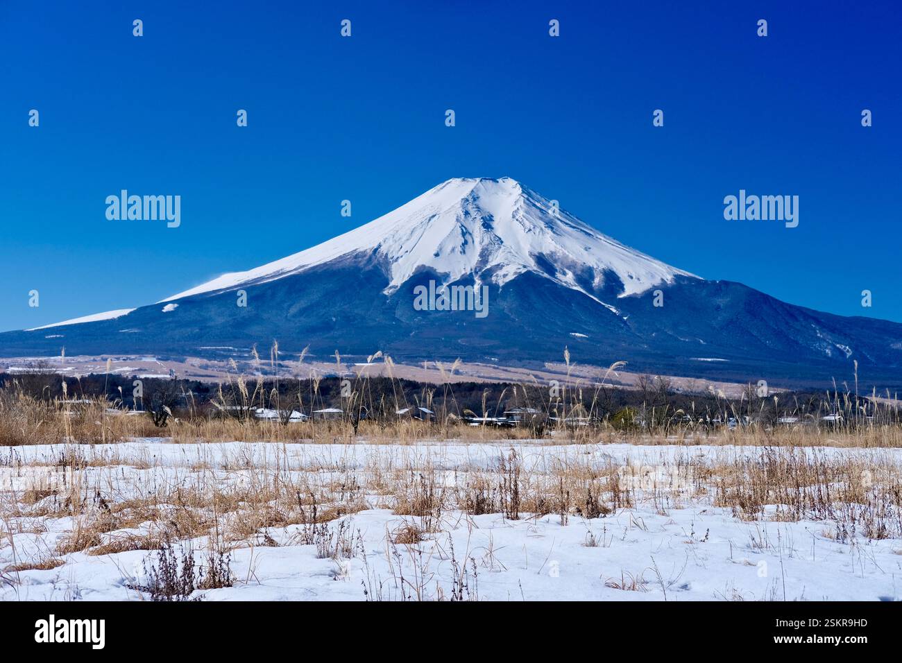 Scenic photo of Japan’s snowy Mount Fuji on a bright, sunny winter day Stock Photo - Alamy