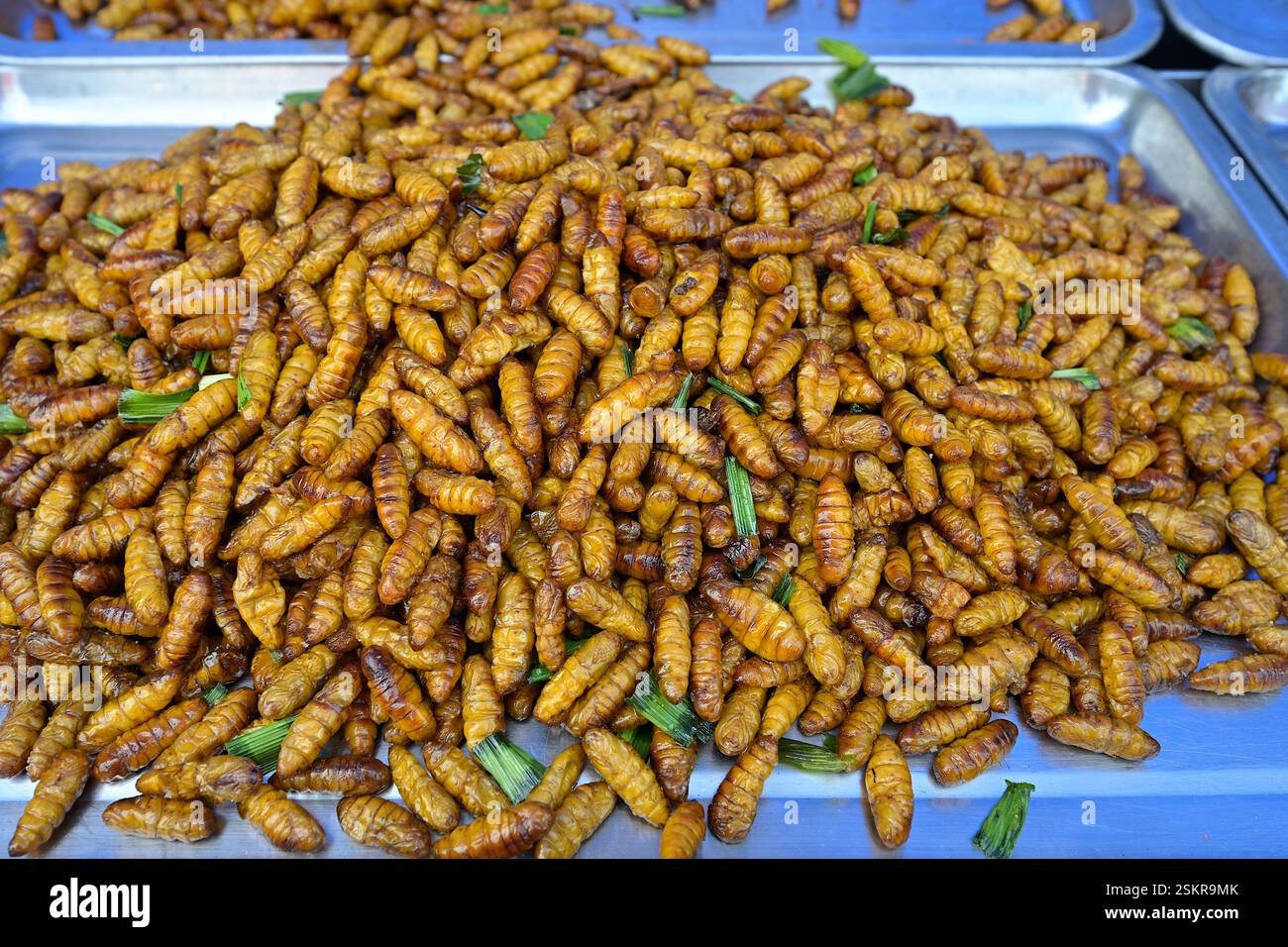 Platter of fried silkworms, known as Dak dtae or hon mhai in Lao or ...