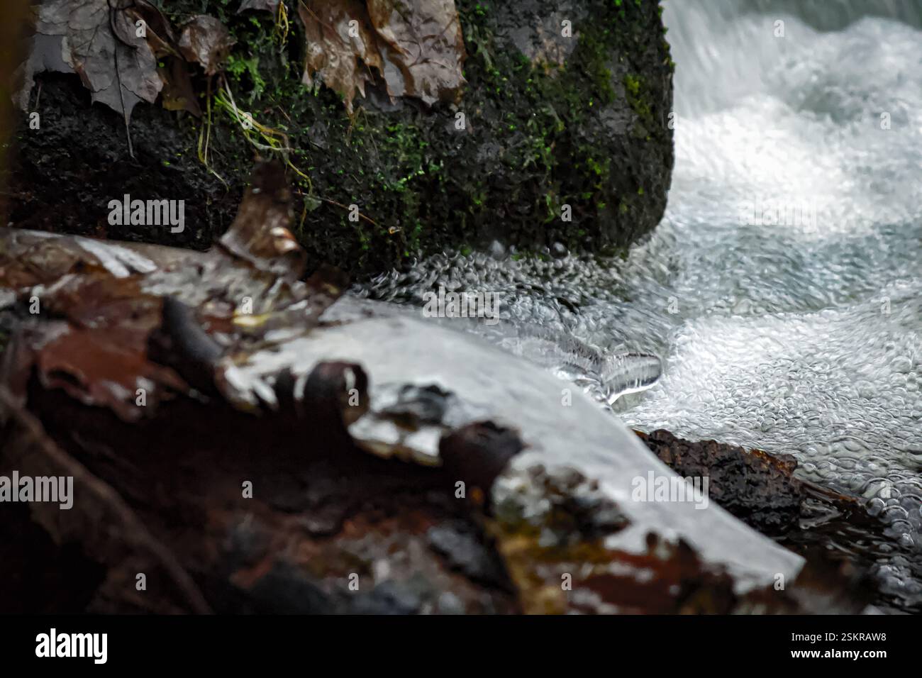 Dripping droples hi-res stock photography and images - Alamy