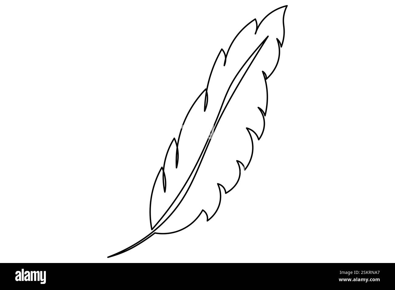 Continuous bird feather one line drawing of feather isolated outline ...