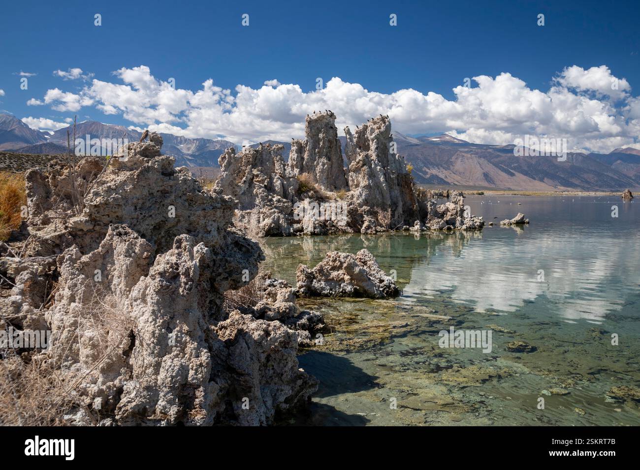 Lee Vining, California - Tufa towers in Mono Lake. The lake has no ...